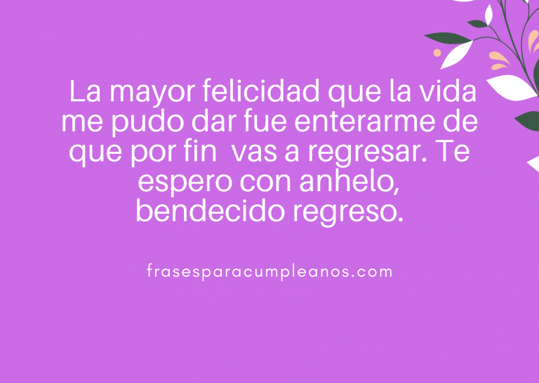 Frases de Feliz Regreso A Casa - frasescumple