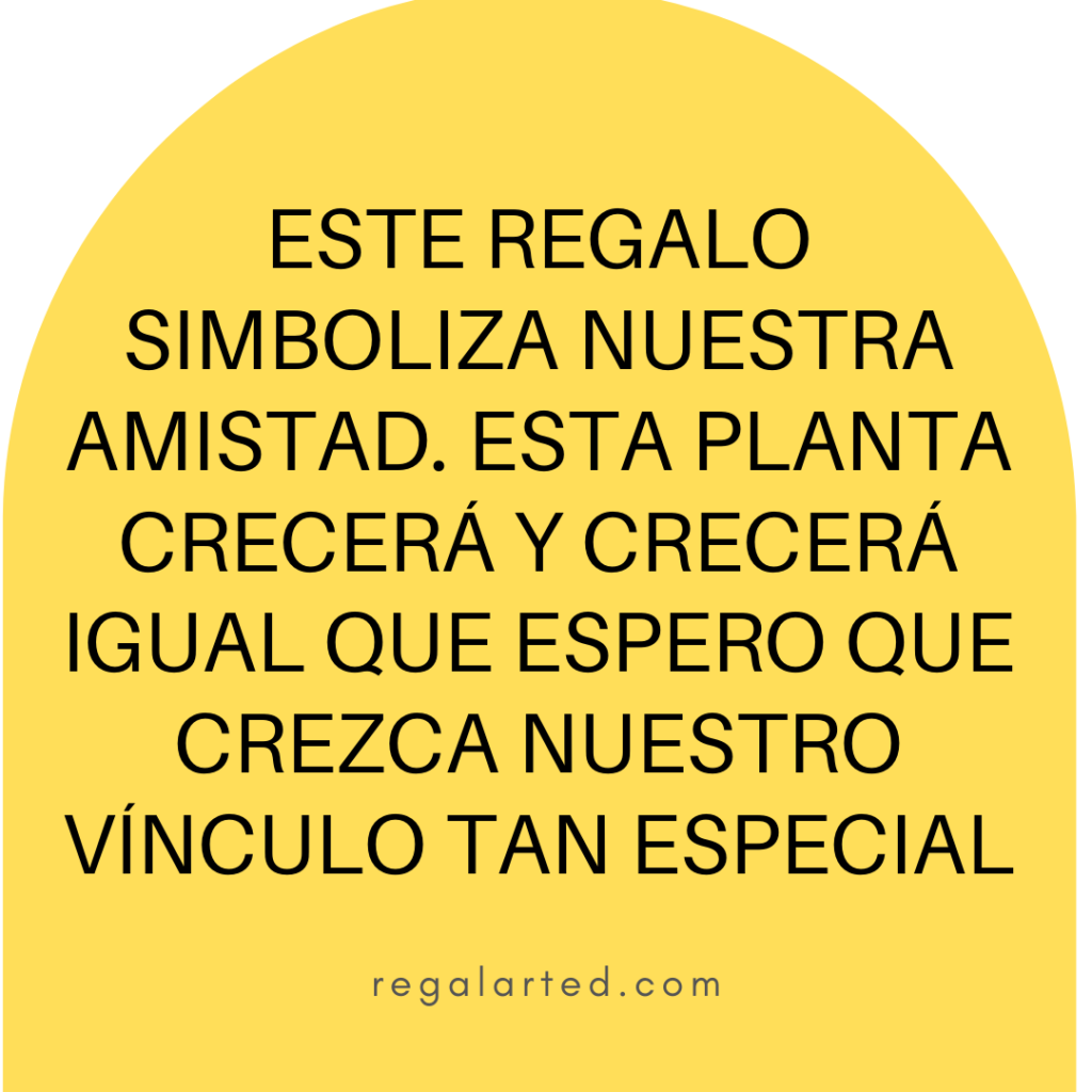 Las Mejores Frases para regalar plantas - Frases Cumple
