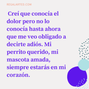 Frases para decir Adiós a mi perro Querido - frasescumple